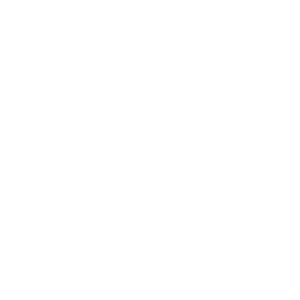 About Rossi USA - Rossi USA