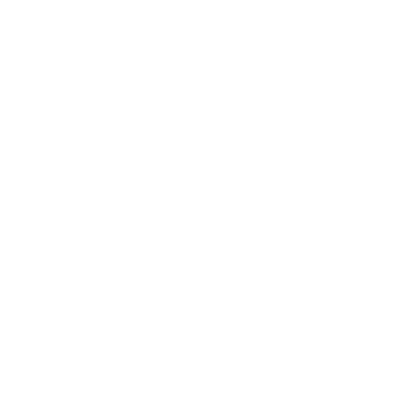 About Rossi USA - Rossi USA